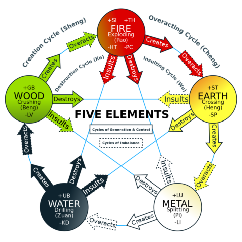 How TCM Works | Soulfire Medicine